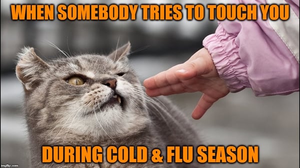 19 Flu Memes Sure to Resonate With Your Employees This Flu Season