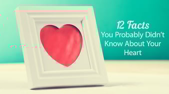 12 Facts You Probably Didn’t Know About Your Heart | TotalWellness
